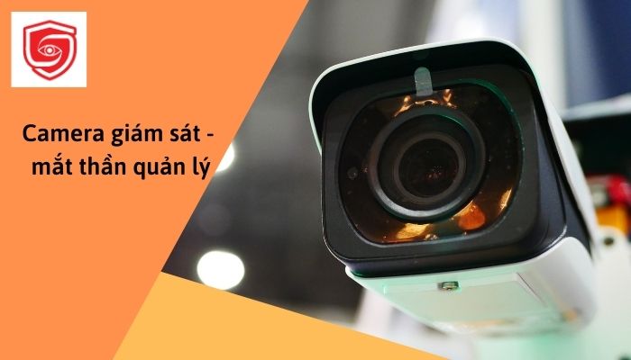 Lắp đặt Camera giám sát cho văn phòng - 247